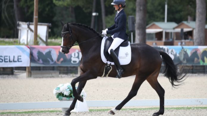 Sélections championnats du monde jeunes chevaux | Fédération Française ...