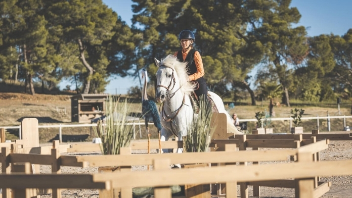 Les Tricolores font le plein de médailles aux championnats d’Europe d ...