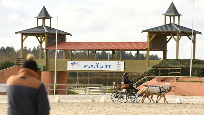 En attelage, de nouvelles reprises de dressage pour toutes les ...
