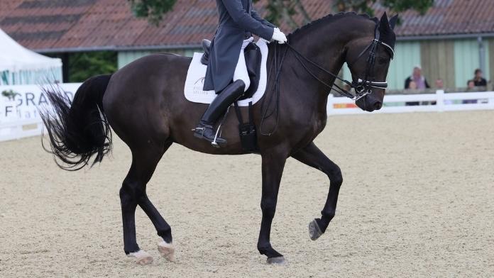 Grand National FFE – AC Print de dressage à Saint-Lô (50) : Dernière ...