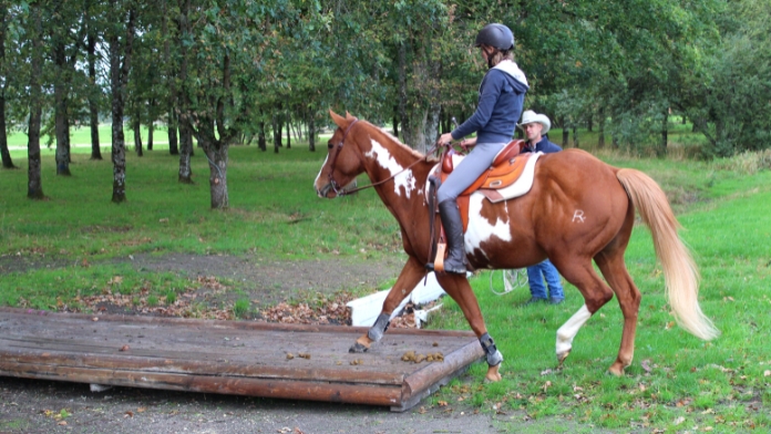 Rendez-vous au Parc équestre fédéral pour les Rencontres Western 2023 ...