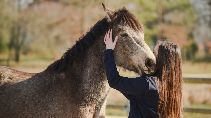 2ème Congrès Cheval & Diversité : « Le Cheval au cœur de la relation ...