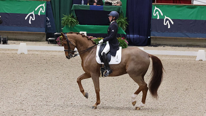 Grand National FFE – AC Print de Dressage de Saint-Lô (50) : La 6e et ...