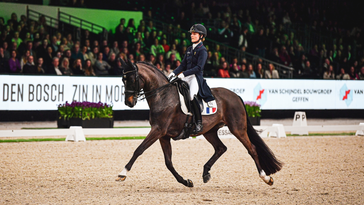 Pauline Basquin et Sertorius de Rima Z*IFCE dépassent à nouveau les 80% ...