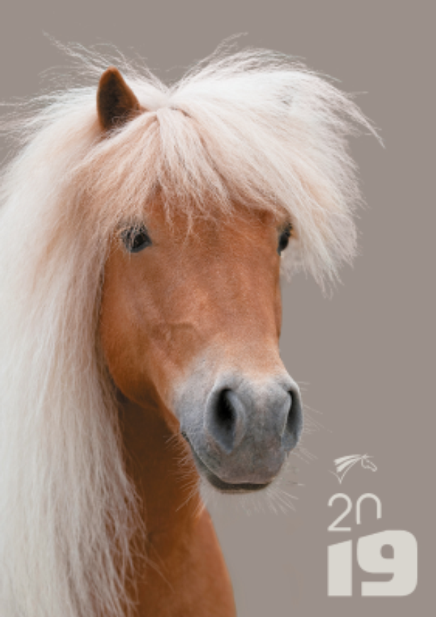 Campagne de rentrée FFE | Fédération Française d'Équitation - FFE