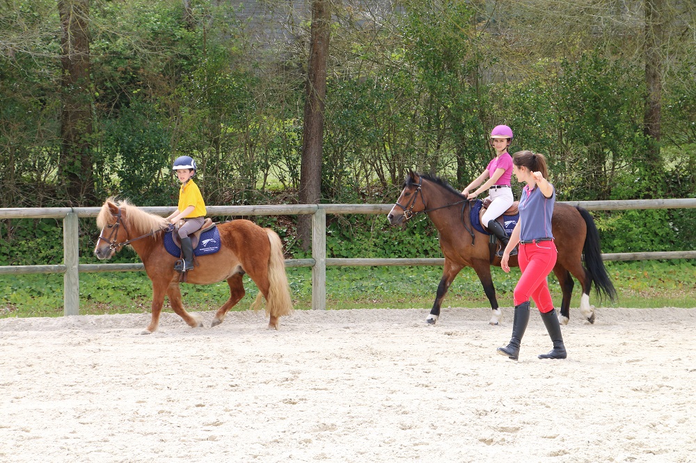 L’ÉQUITATION RECRUTE, LA FFE FAIT DE LA FORMATION PROFESSIONNELLE UNE ...