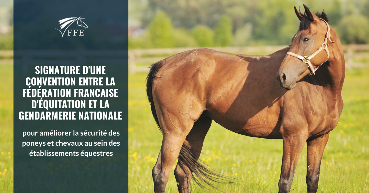 LA FFE ET LA GENDARMERIE NATIONALE S'ALLIENT POUR AMÉLIORER LA SÉCURITÉ ...