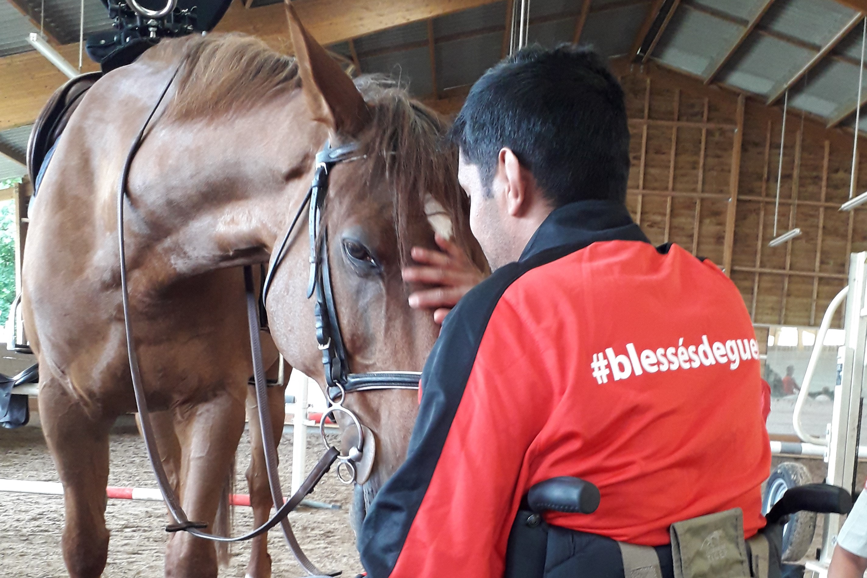 La FFE au contact des blessés de guerre | Fédération Française d ...