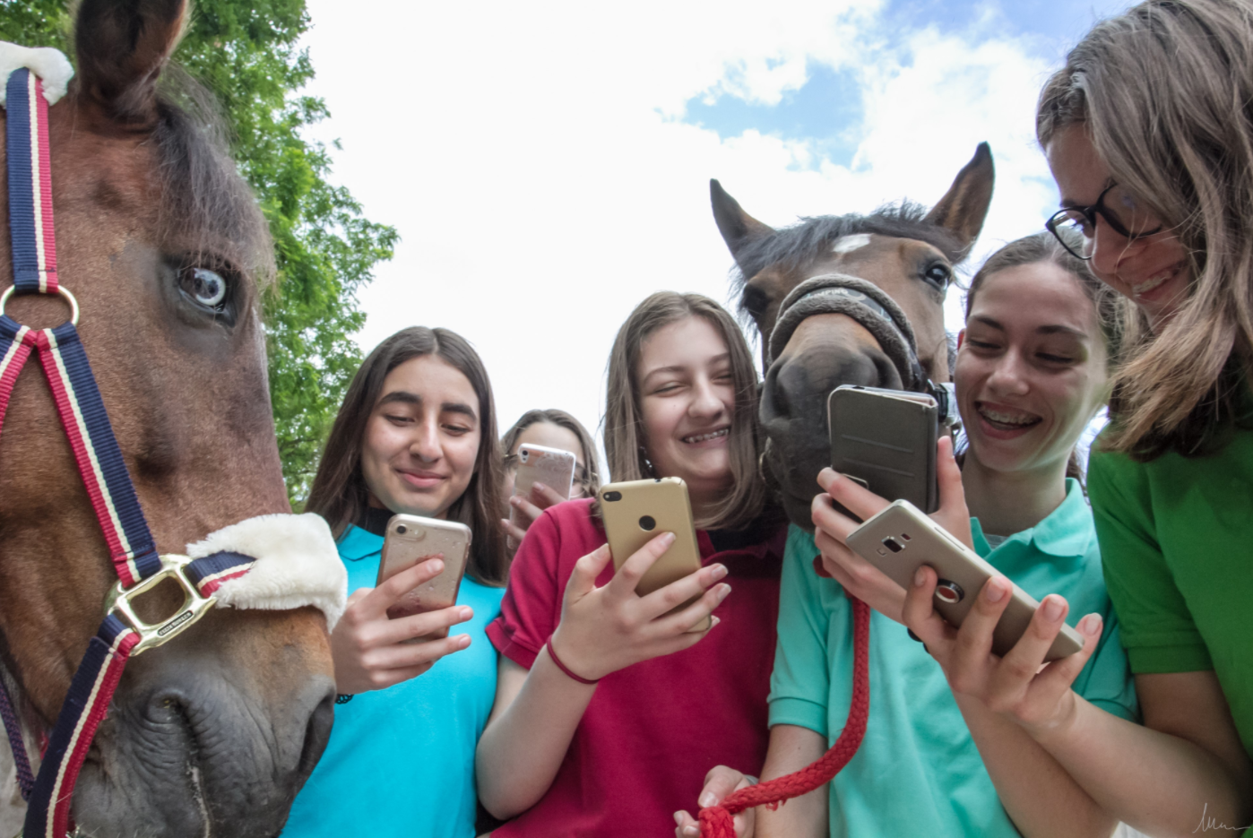La Fédération Française d’Equitation mise sur le digital pour séduire ...