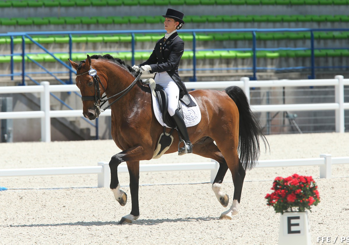 CDI 3* de Pompadour : Alizée Froment et Ehrendorf, un nouveau couple ...