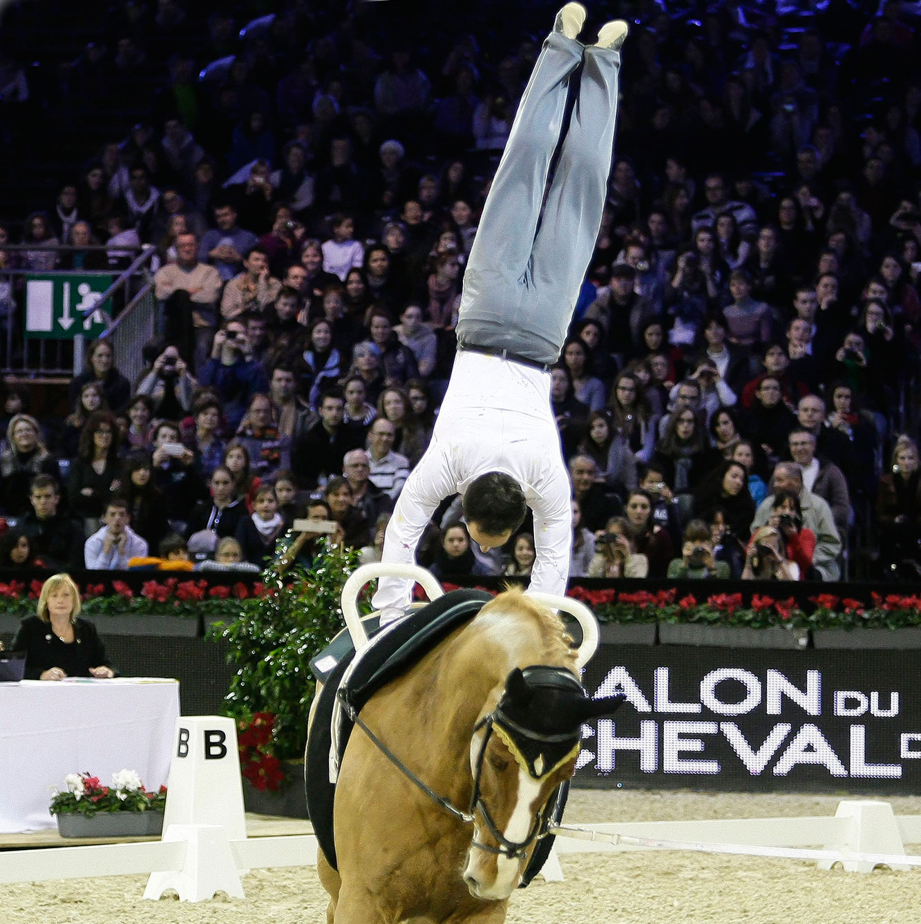 Finale Coupe du Monde Voltige | Fédération Française d'Équitation - FFE