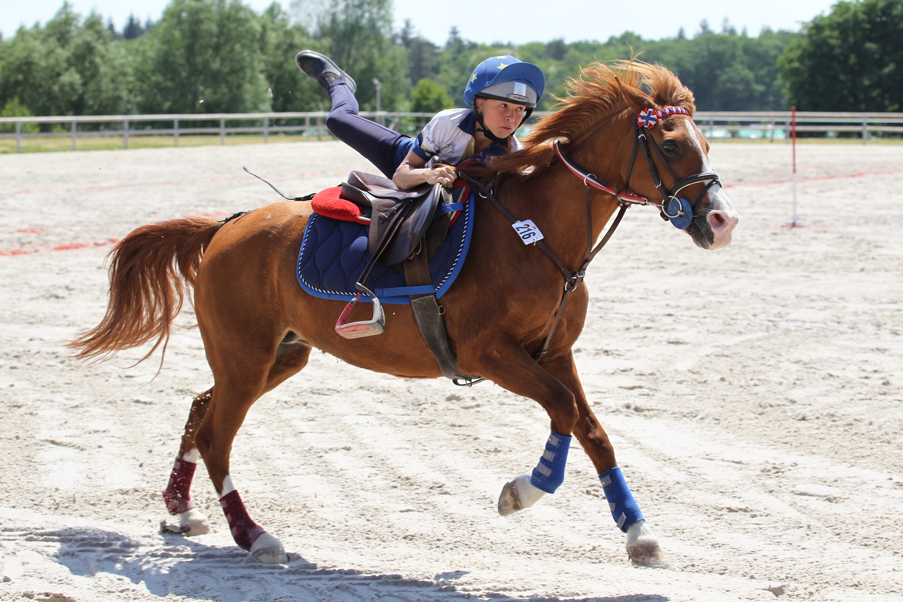 Dossier participant | Fédération Française d'Équitation - FFE